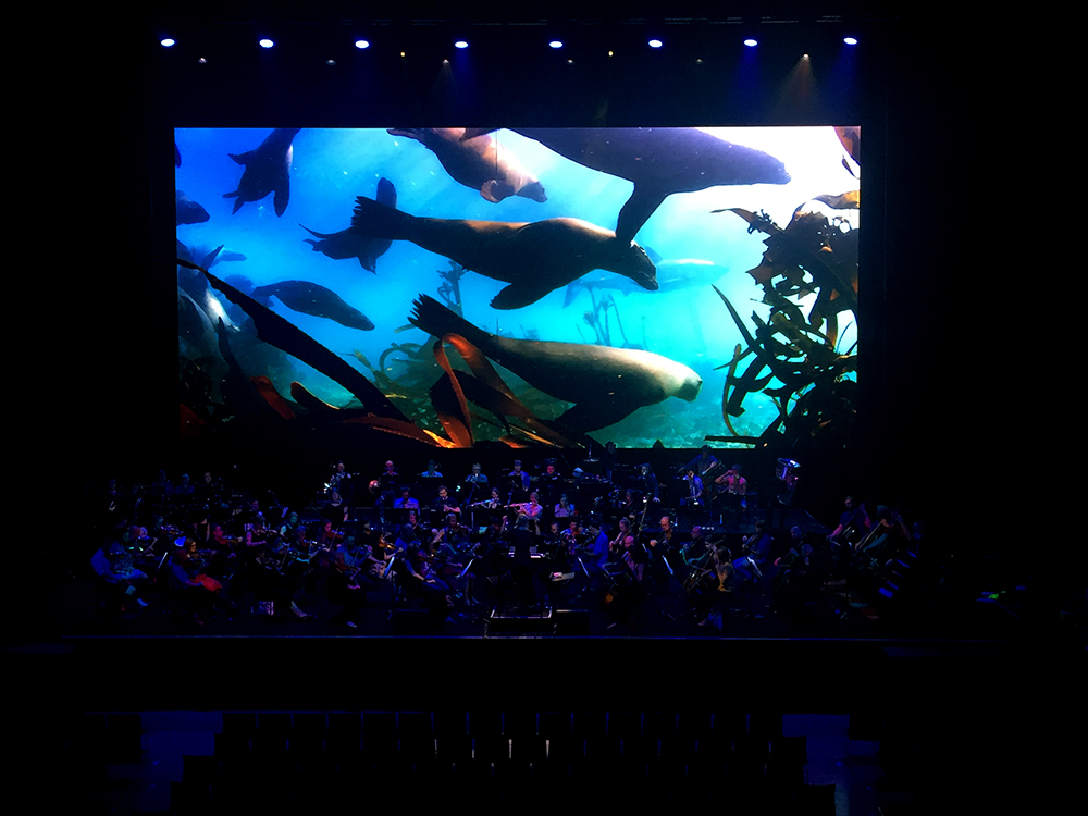 Blue Planet II Live in Concert | LED Screen Rental Sydney - TDC Studio ...