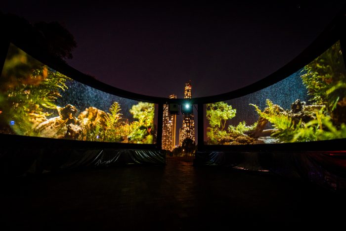 Immersive Installation at Vivid Sydney - TDC Video Equipment Solutions ...